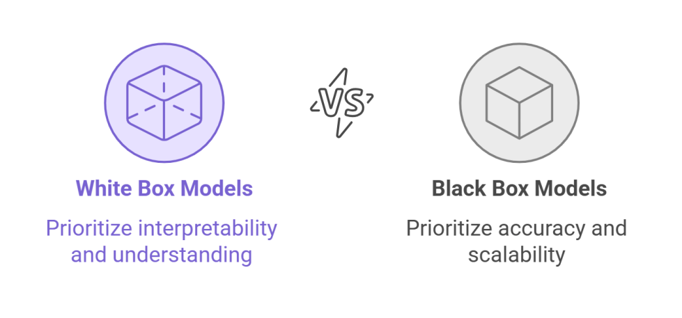What is a Black Box Model? | ContextClue